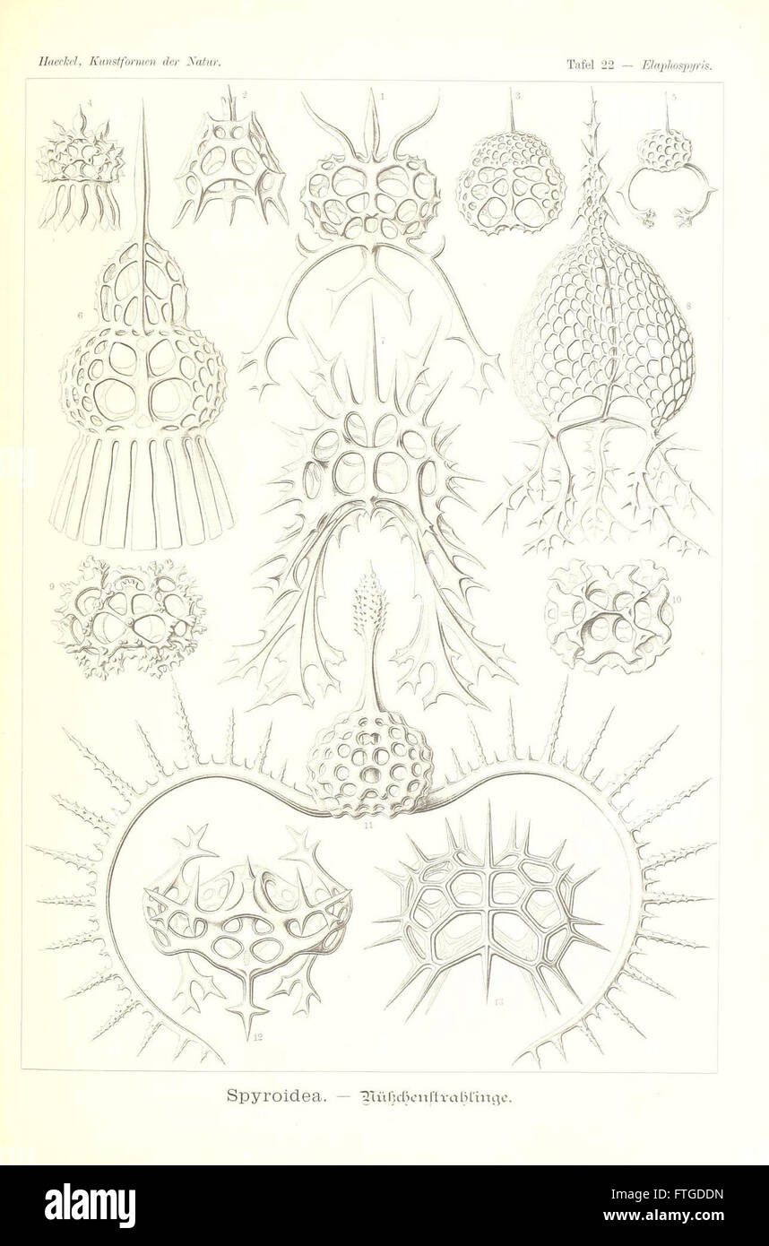 'Kunstformen der Natur' (Art Forms of Nature) features detailed ...