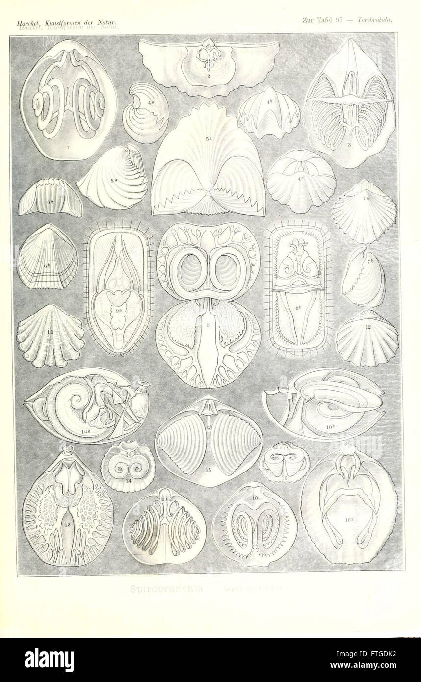 *Kunstformen der Natur* (Forms of Nature) is a series of detailed ...