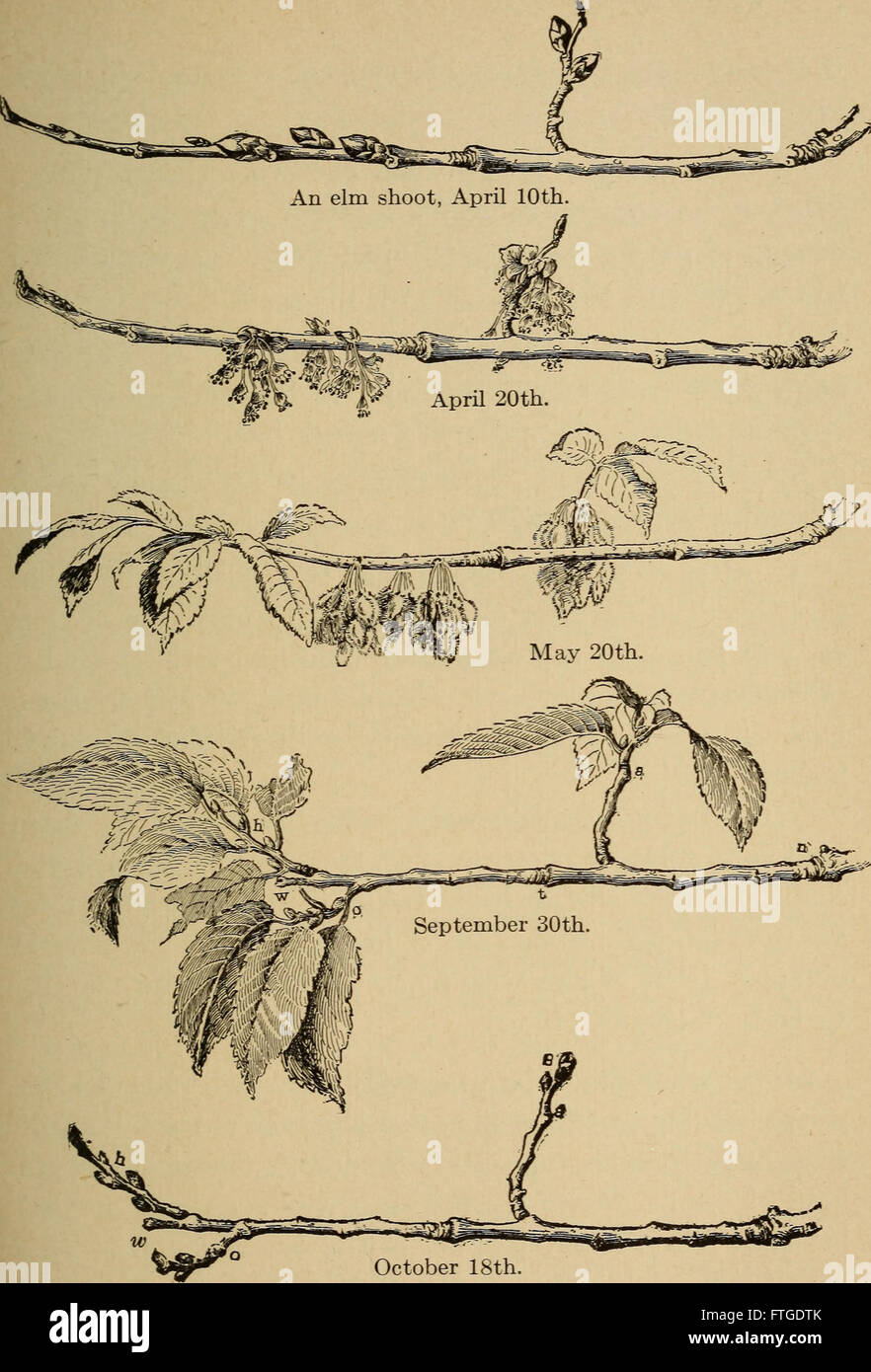 General science hi-res stock photography and images - Alamy