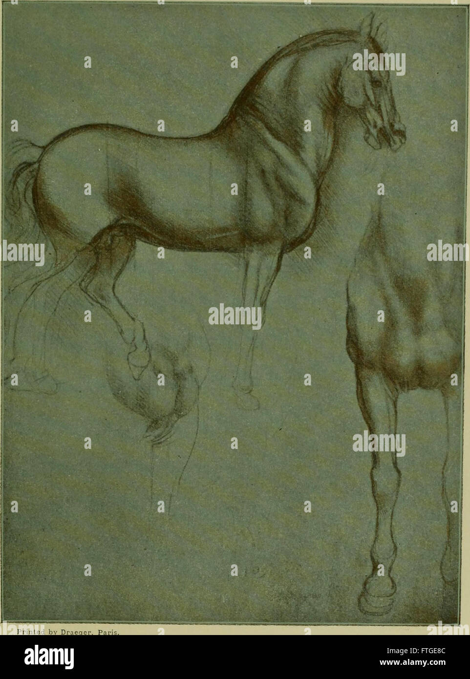 Da vinci drawing map hi-res stock photography and images - Alamy