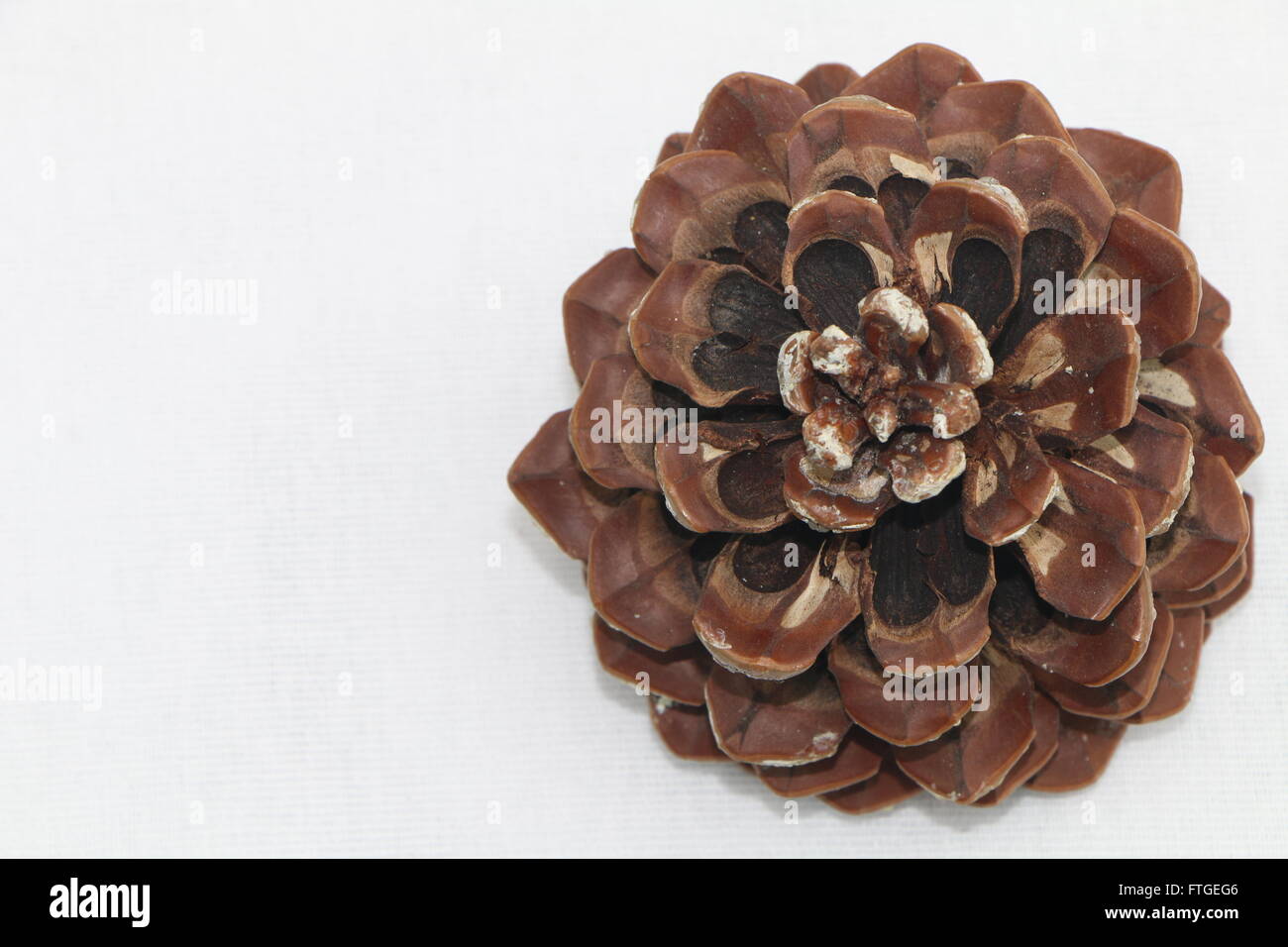 Decorative cone hi-res stock photography and images - Alamy