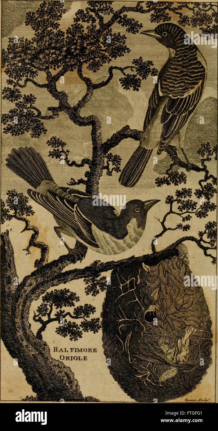 This 1796 work offers a comprehensive historical, geographical, and ...