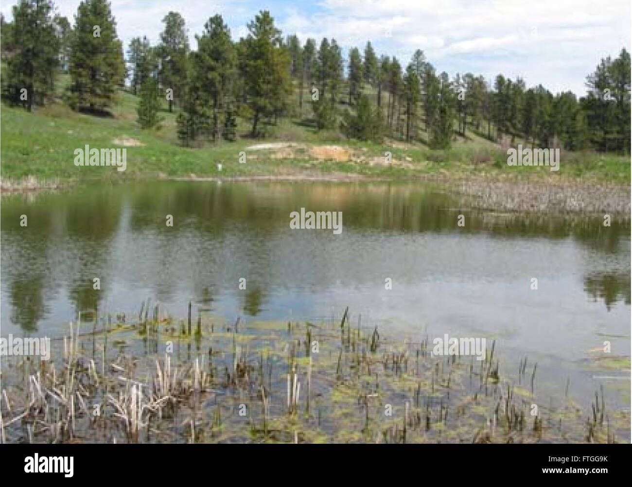 A 2006 report assessing the biological conditions of sites in the ...