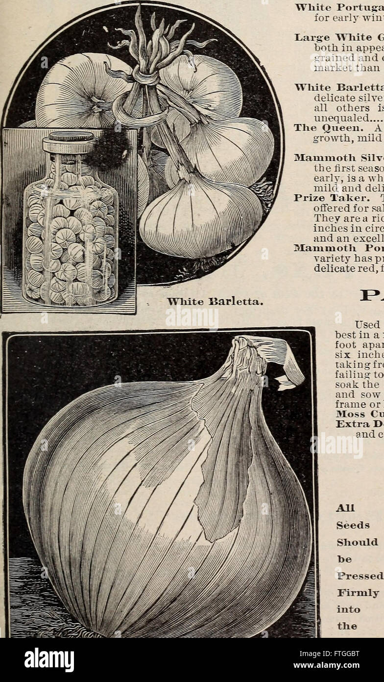 McCullough's 1900 seed catalog provides a comprehensive guide to ...