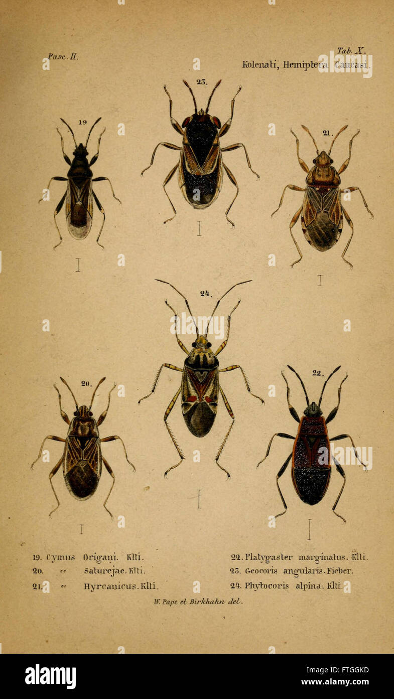 An entomological study illustrated by Tab. X, focusing on the biology ...