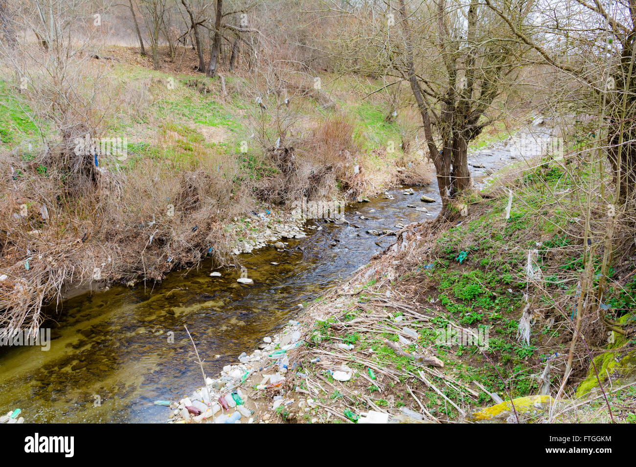 Part of dry river in the woods during spring Stock Photo - Alamy