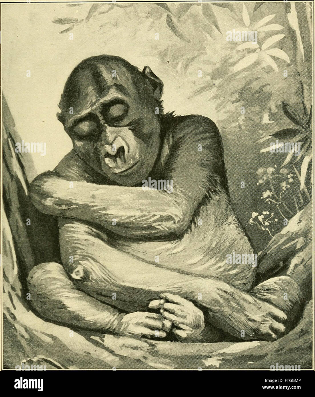 A 1900 work focusing on the lives, behaviors, and communication methods ...