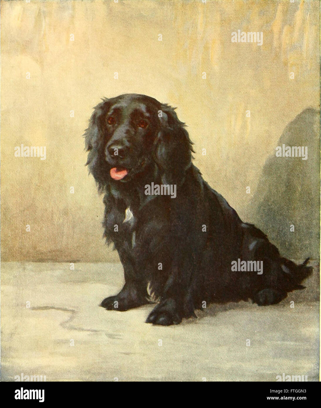 Early 20th century recollections hi-res stock photography and images ...