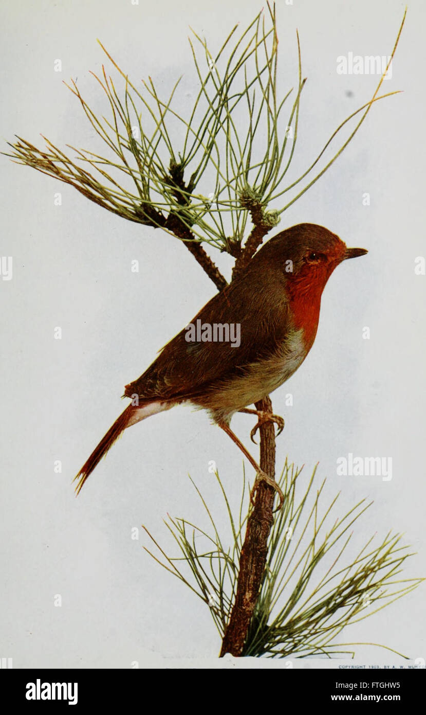 A publication featuring color photography of various elements of nature ...