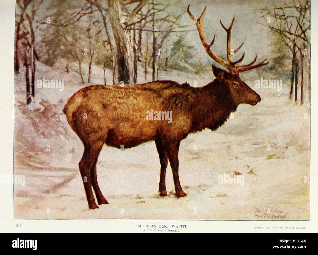 An illustration from 'Nature Neighbors,' showing the interrelations of ...