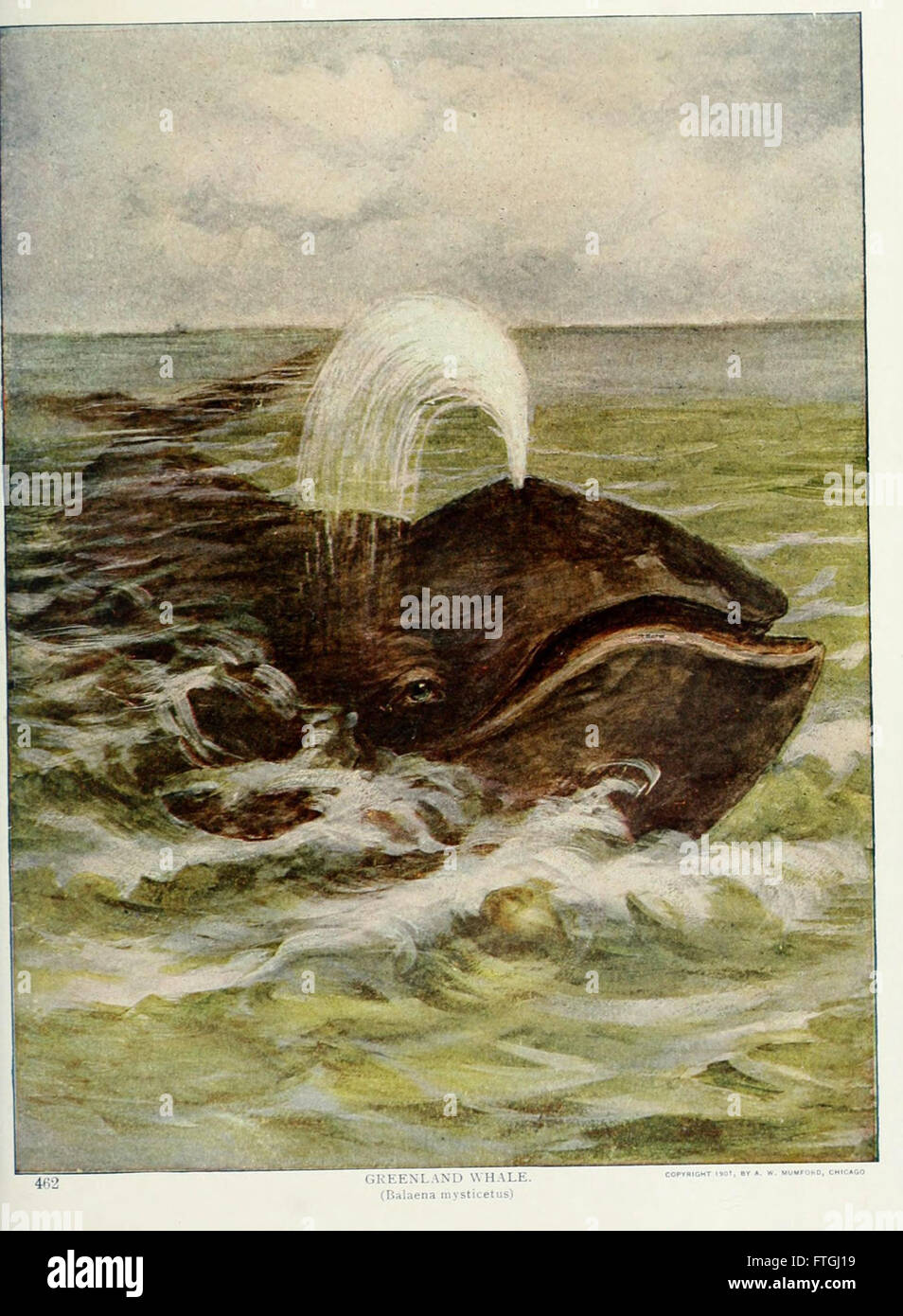 A depiction from 'Nature Neighbors,' showing various species in close ...