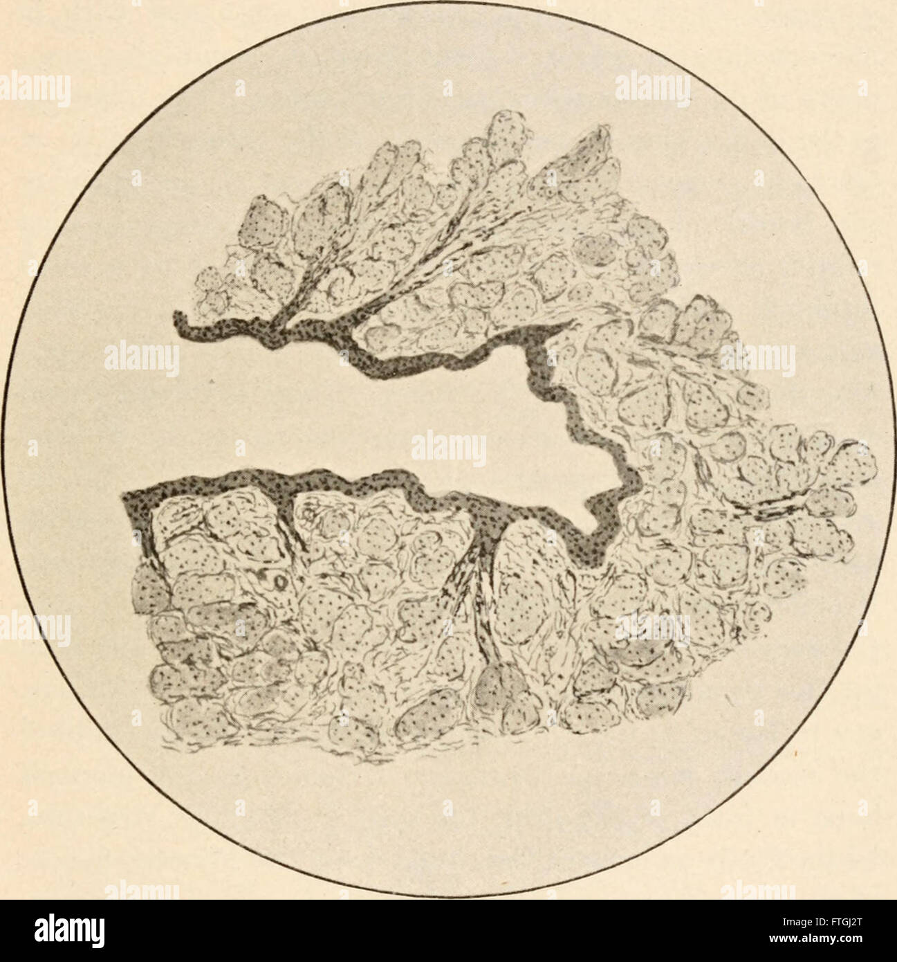Map of bowman hi-res stock photography and images - Alamy
