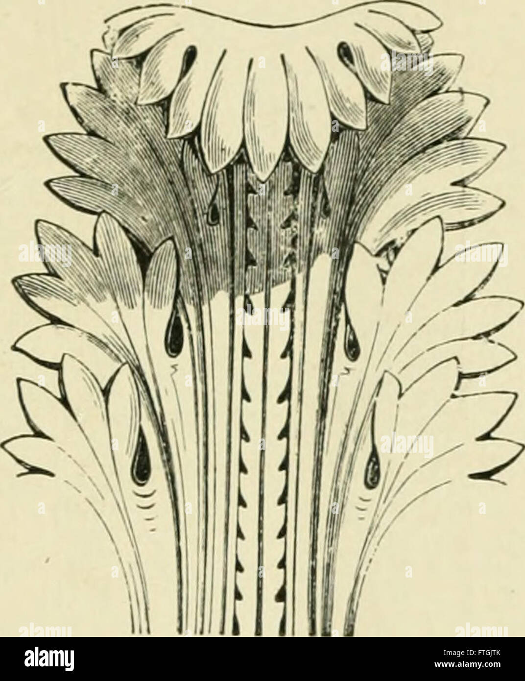 A 1888 work exploring the development and characteristics of classical ...