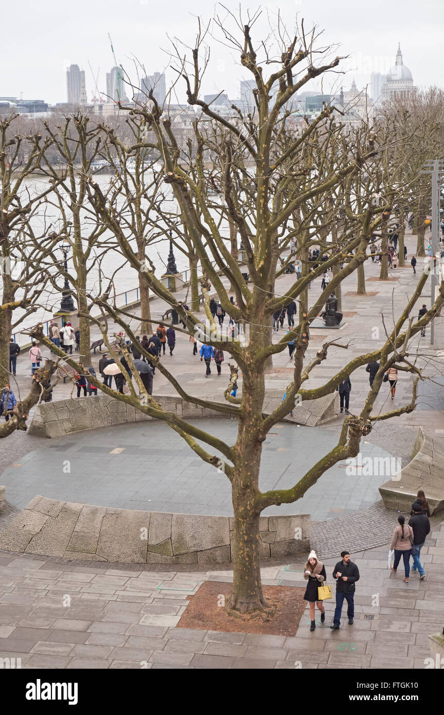 South bank thames trees hi-res stock photography and images - Alamy