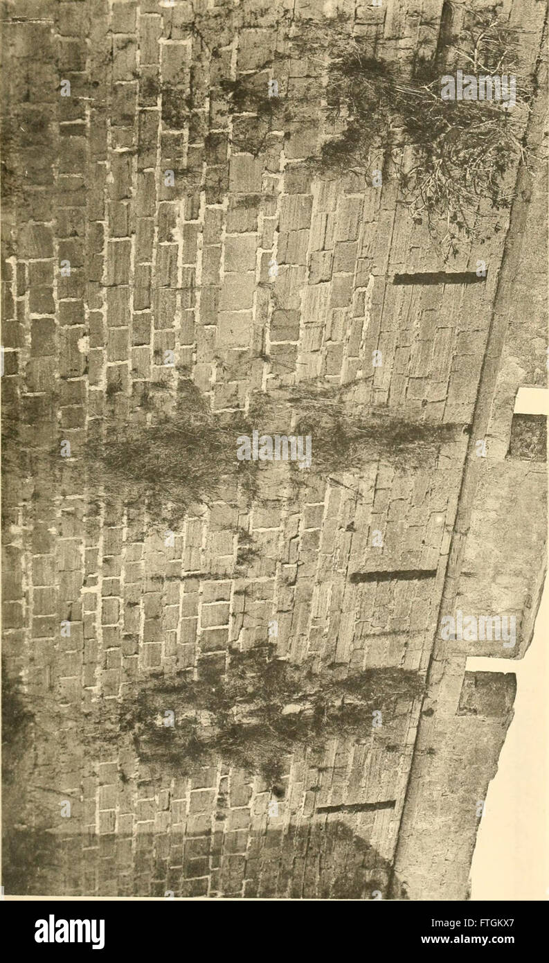 This 1886 work explores the history of St. Augustine, Florida, covering ...