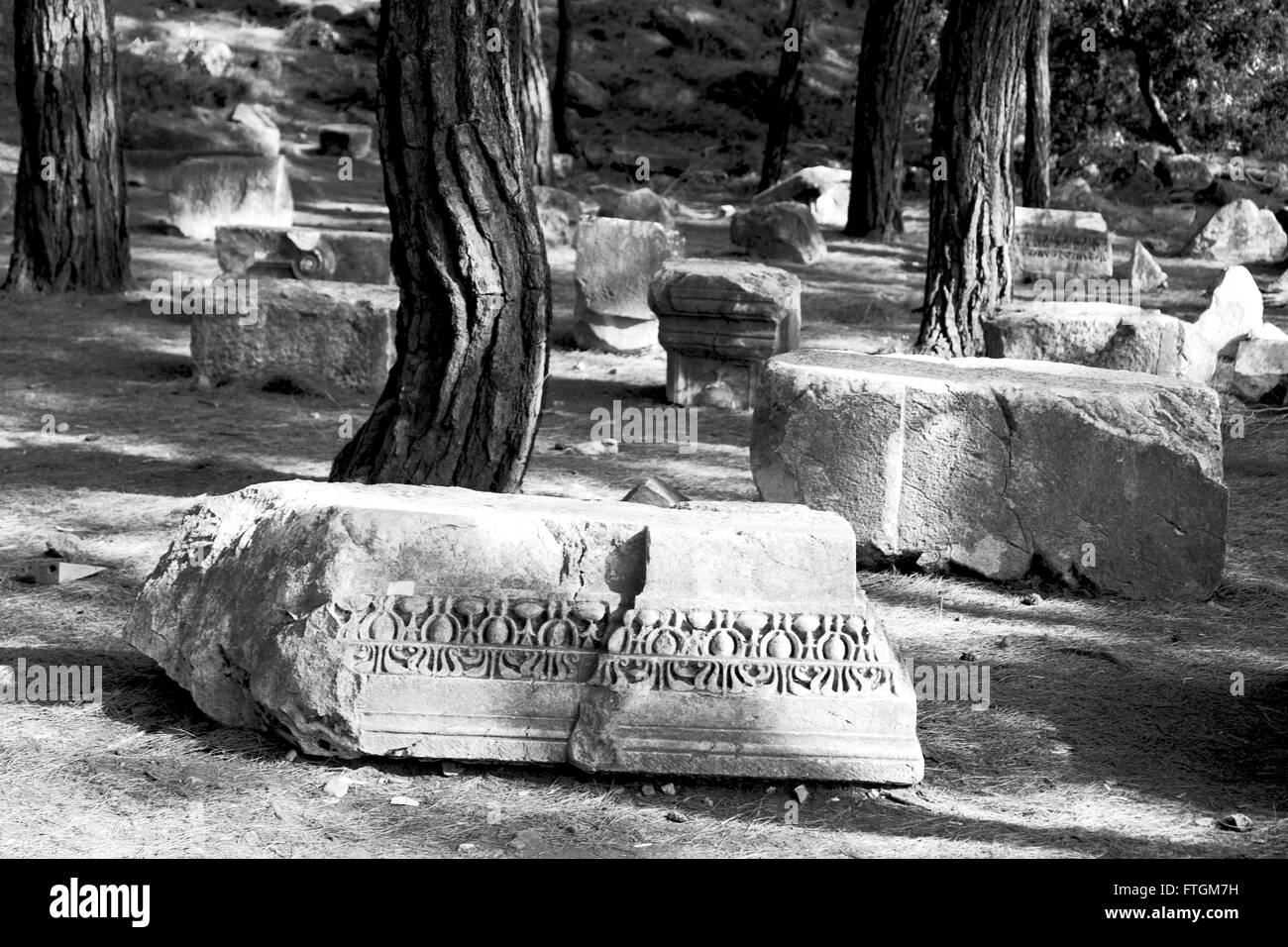 in phaselis temple turkey asia old ruined column and destroyed stone ...
