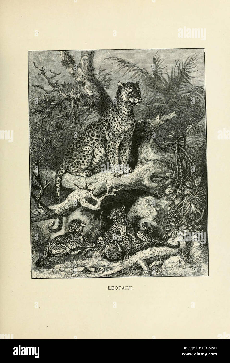 'Our Living World' showcases a full-page illustration depicting various ...