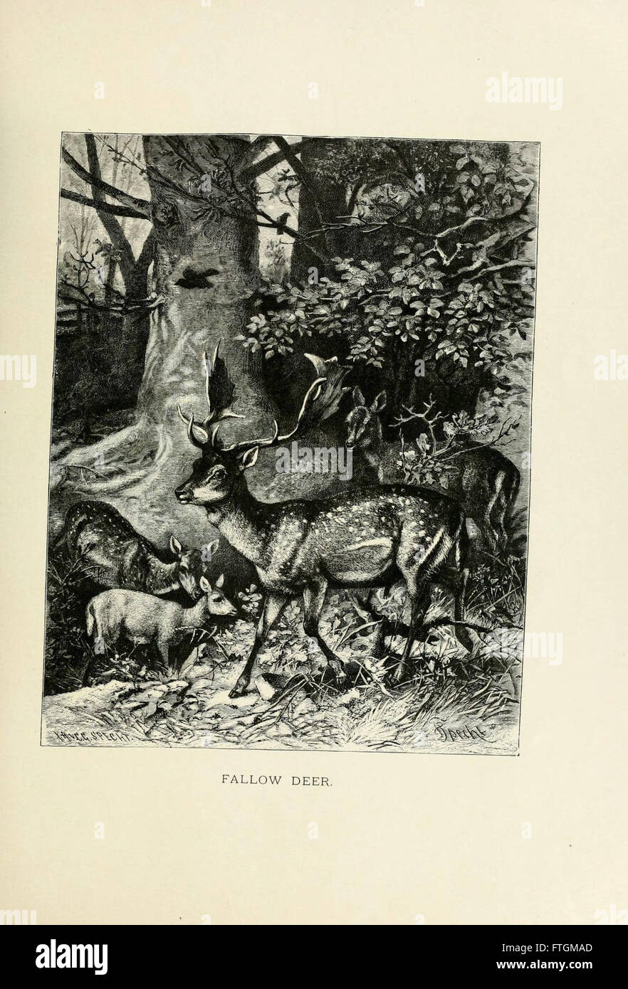 A full-page illustration depicting diverse life forms across the globe ...