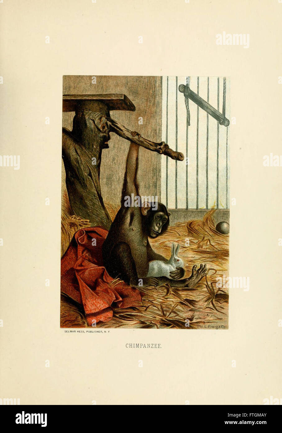 'Our Living World' features a full-page illustration highlighting the ...