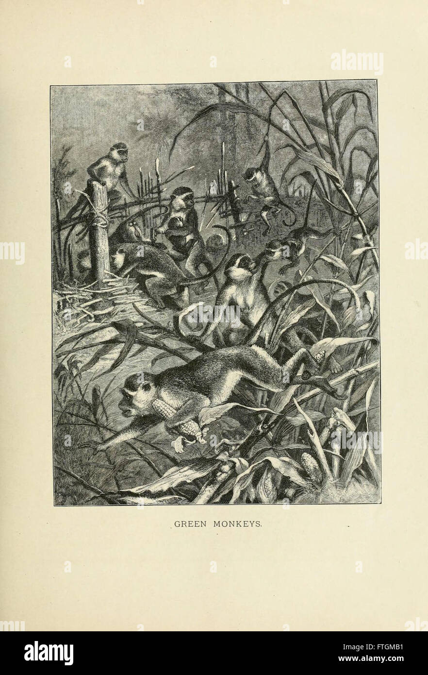 A full-page illustration from *Our Living World*, depicting a detailed ...