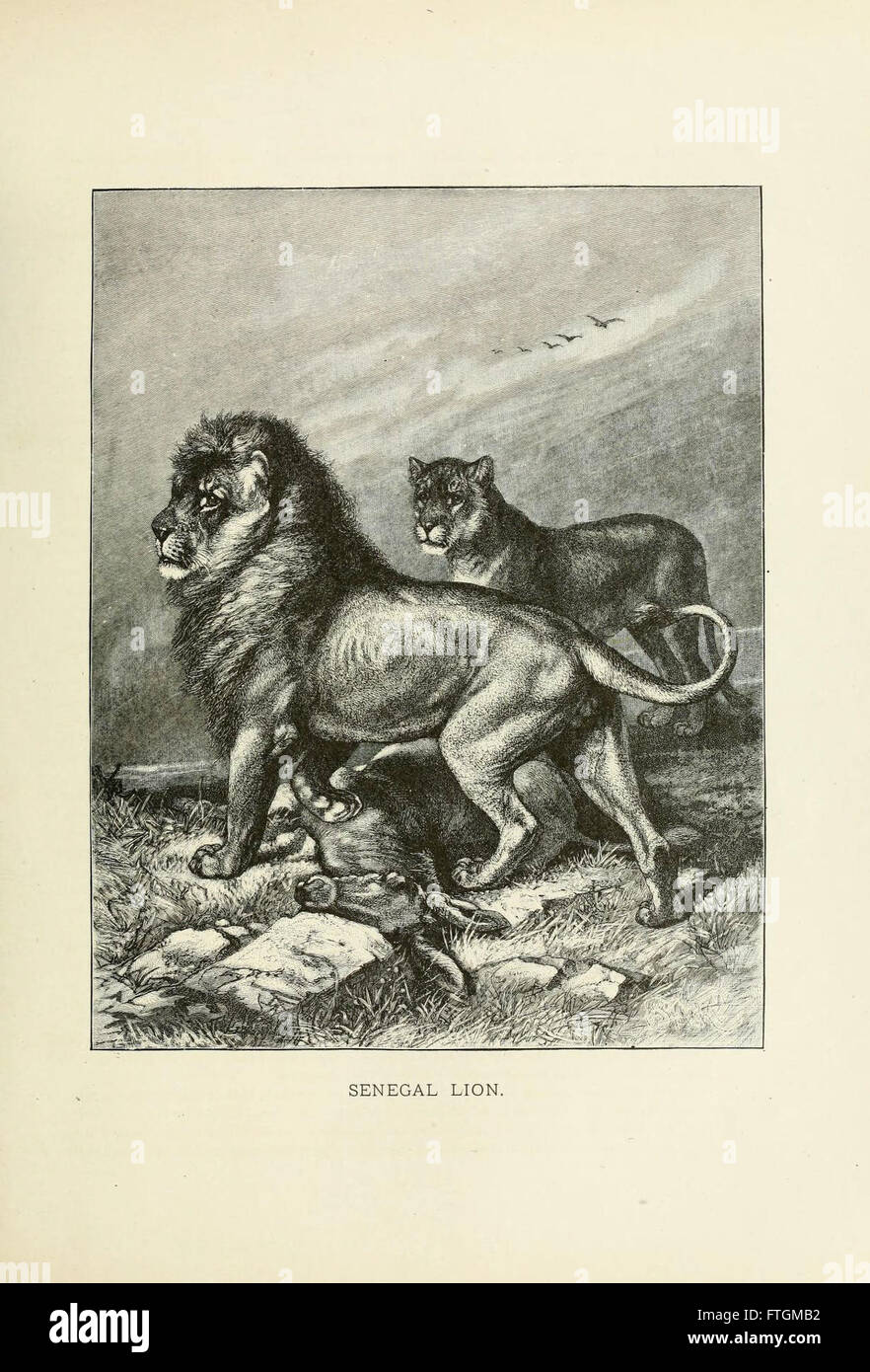 'Our Living World' features a full-page illustration showcasing the ...