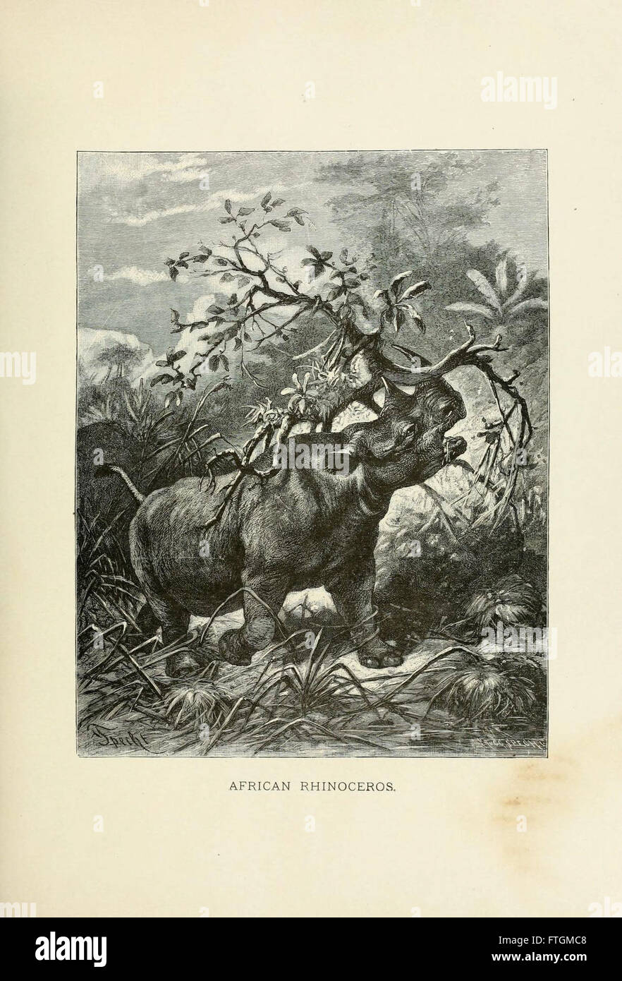 A full-page illustration depicting the richness and diversity of life ...