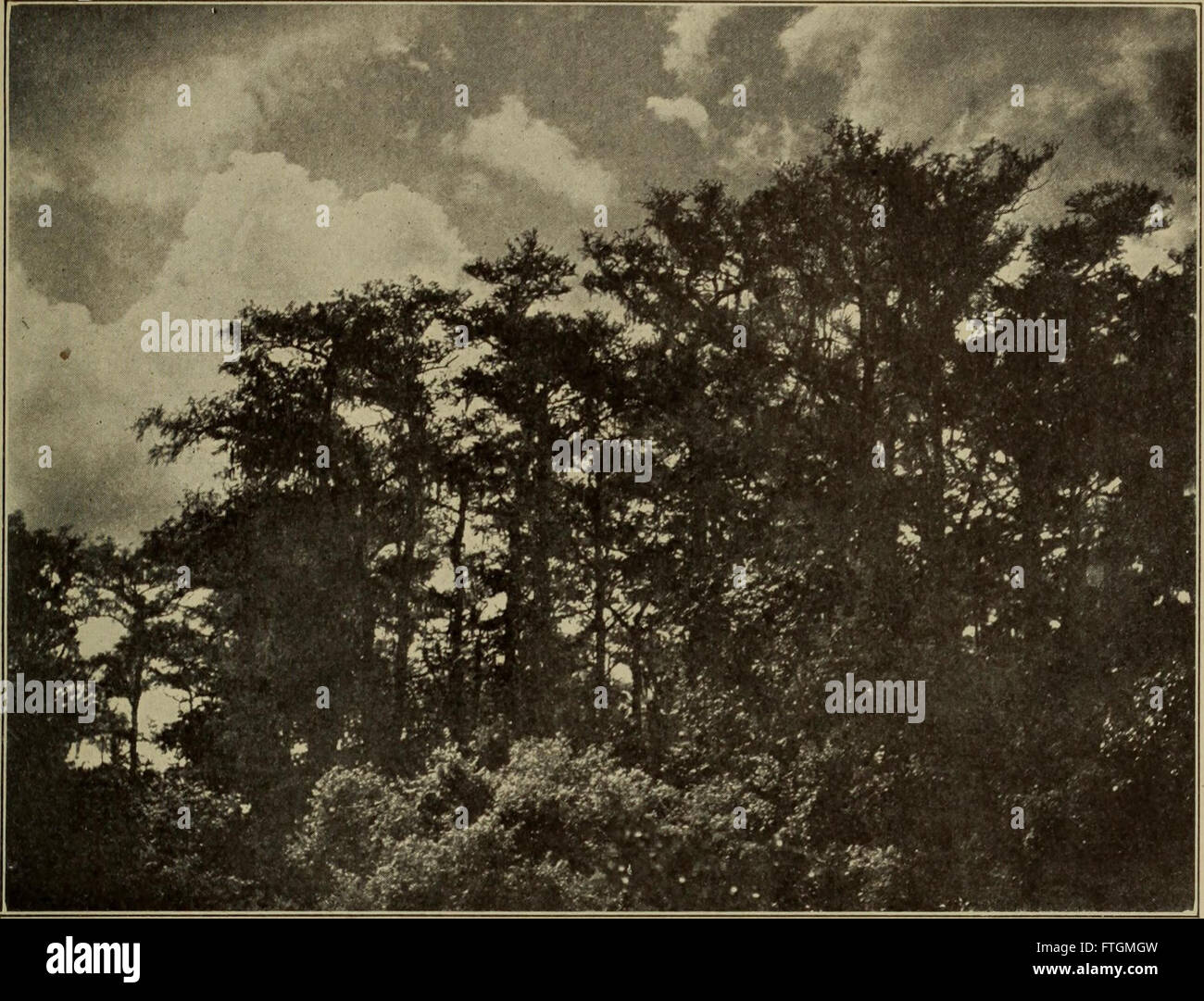 'Outing' (1885) is a periodical that explores the culture of outdoor ...