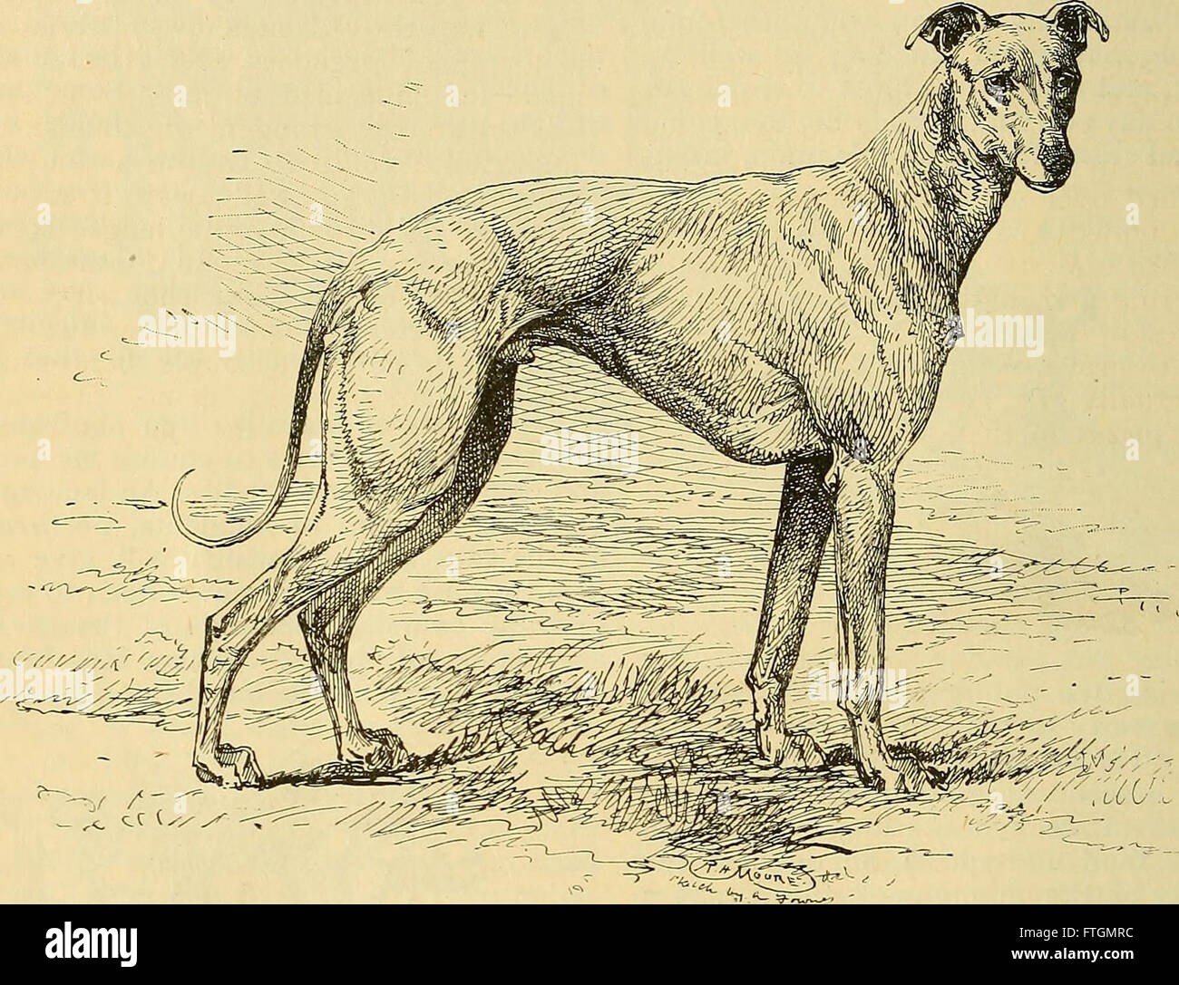 Outing (1885) is a periodical that covers a wide range of topics ...