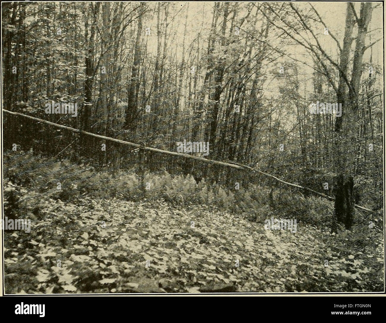 The 1885 edition of 'Outing' offers a collection of articles on outdoor ...