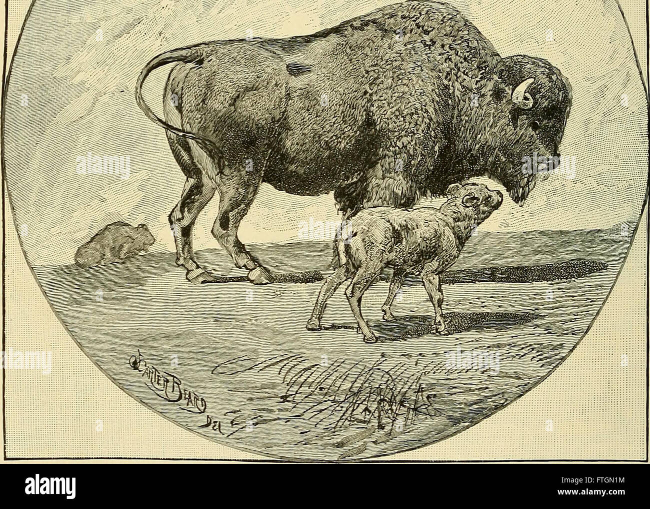 The 1885 edition of Outing, a magazine featuring articles on outdoor ...