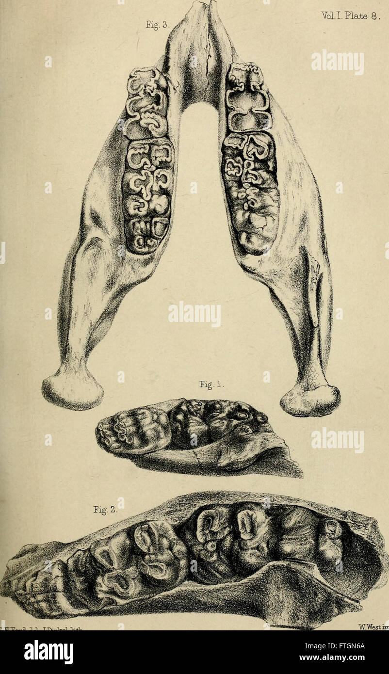 Map of falconer hi-res stock photography and images - Alamy