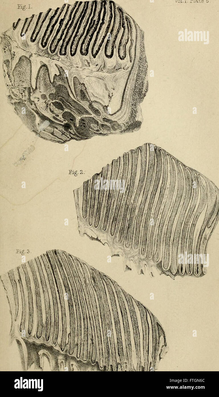 Map of falconer hi-res stock photography and images - Alamy