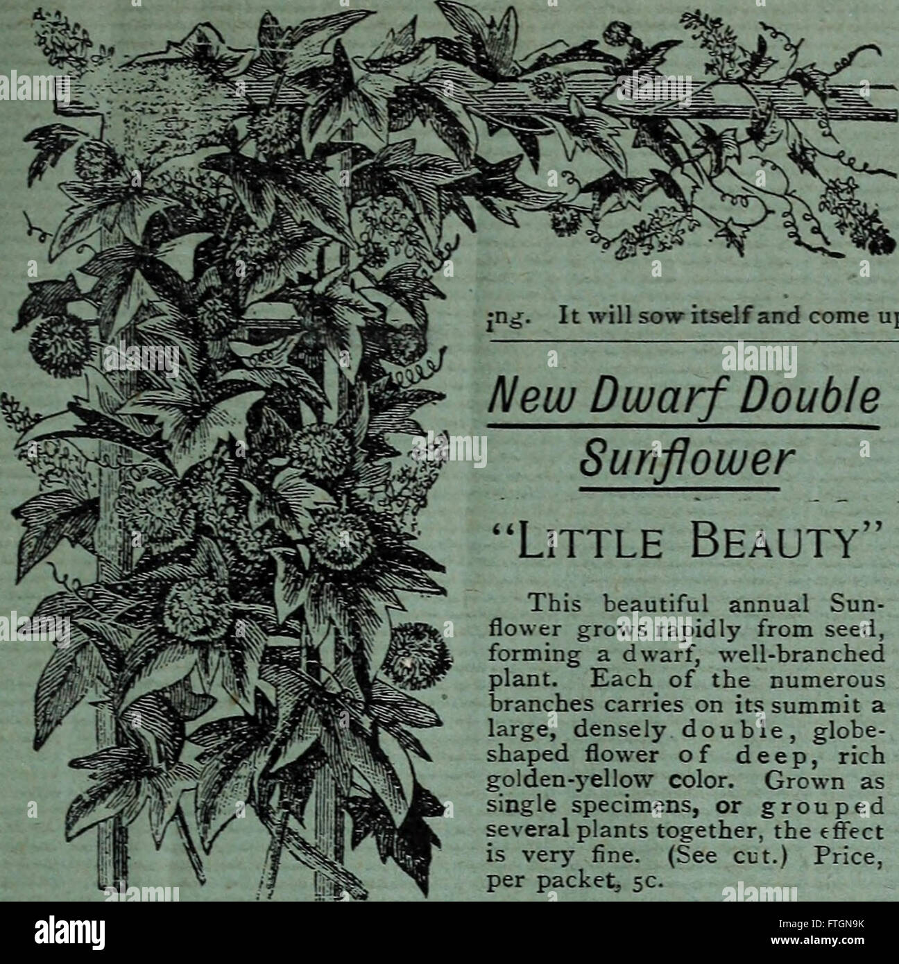 Pearce's hi-res stock photography and images - Alamy