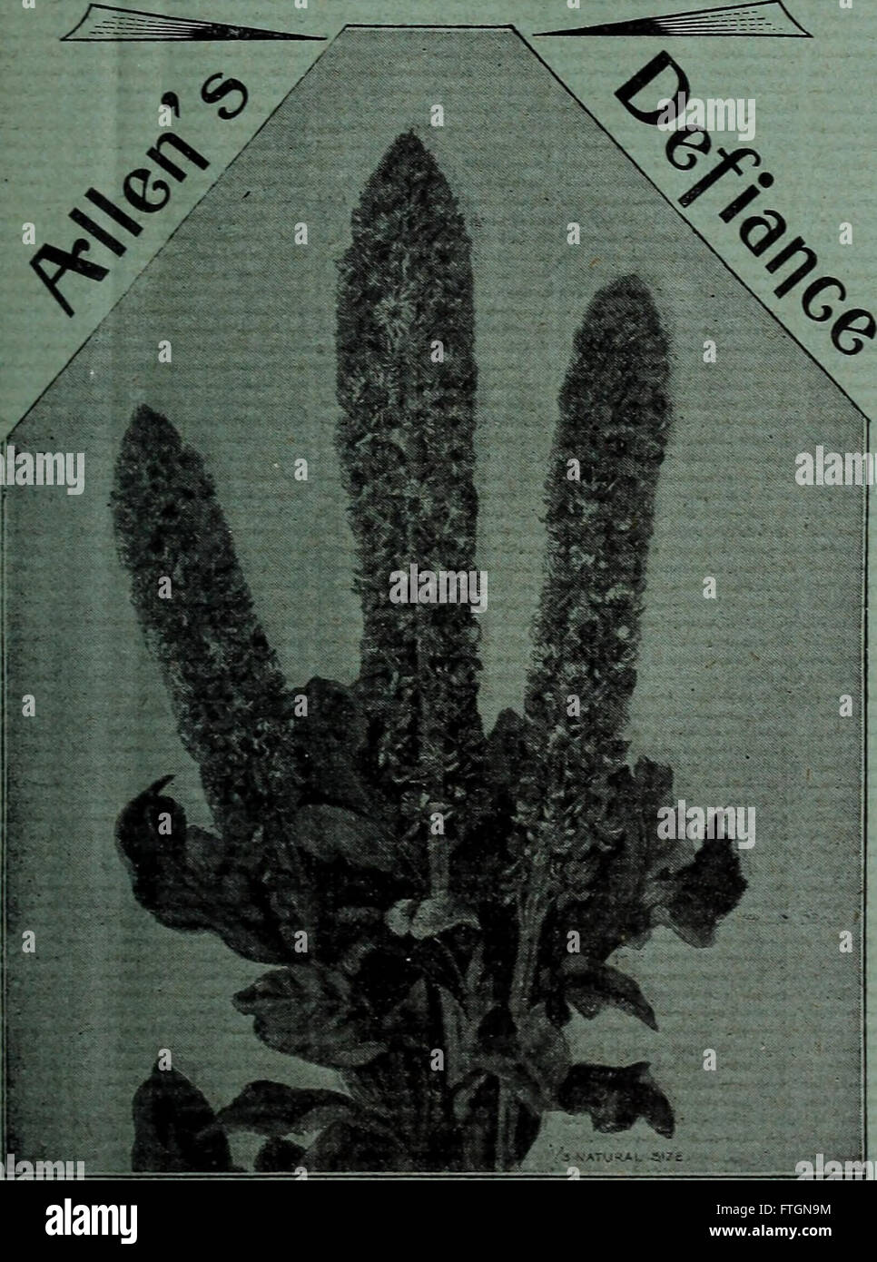 This 1896 catalog from Pearce’s Seeds offers a comprehensive selection ...