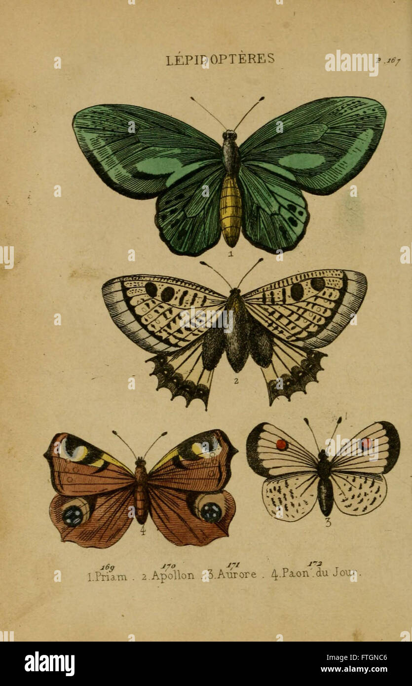 *Petit Buffon Illustré* presents an illustrated version of Buffon's ...