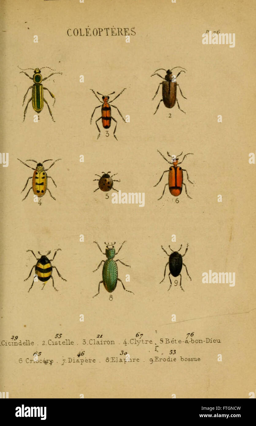 This illustrated page from 'Petit Buffon' features natural history ...