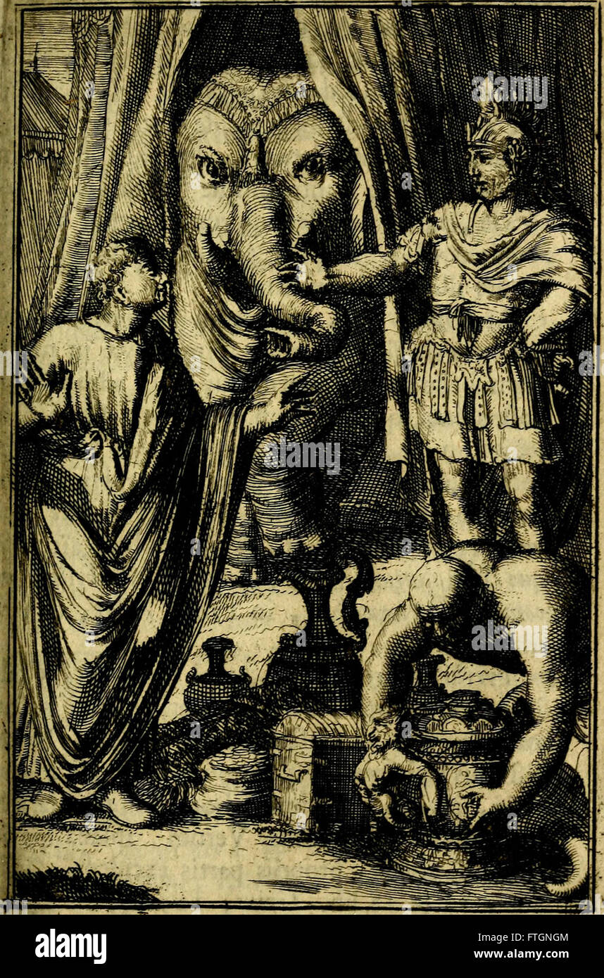 This 1695 work by Hadrian Schoonebeeck provides a detailed description ...