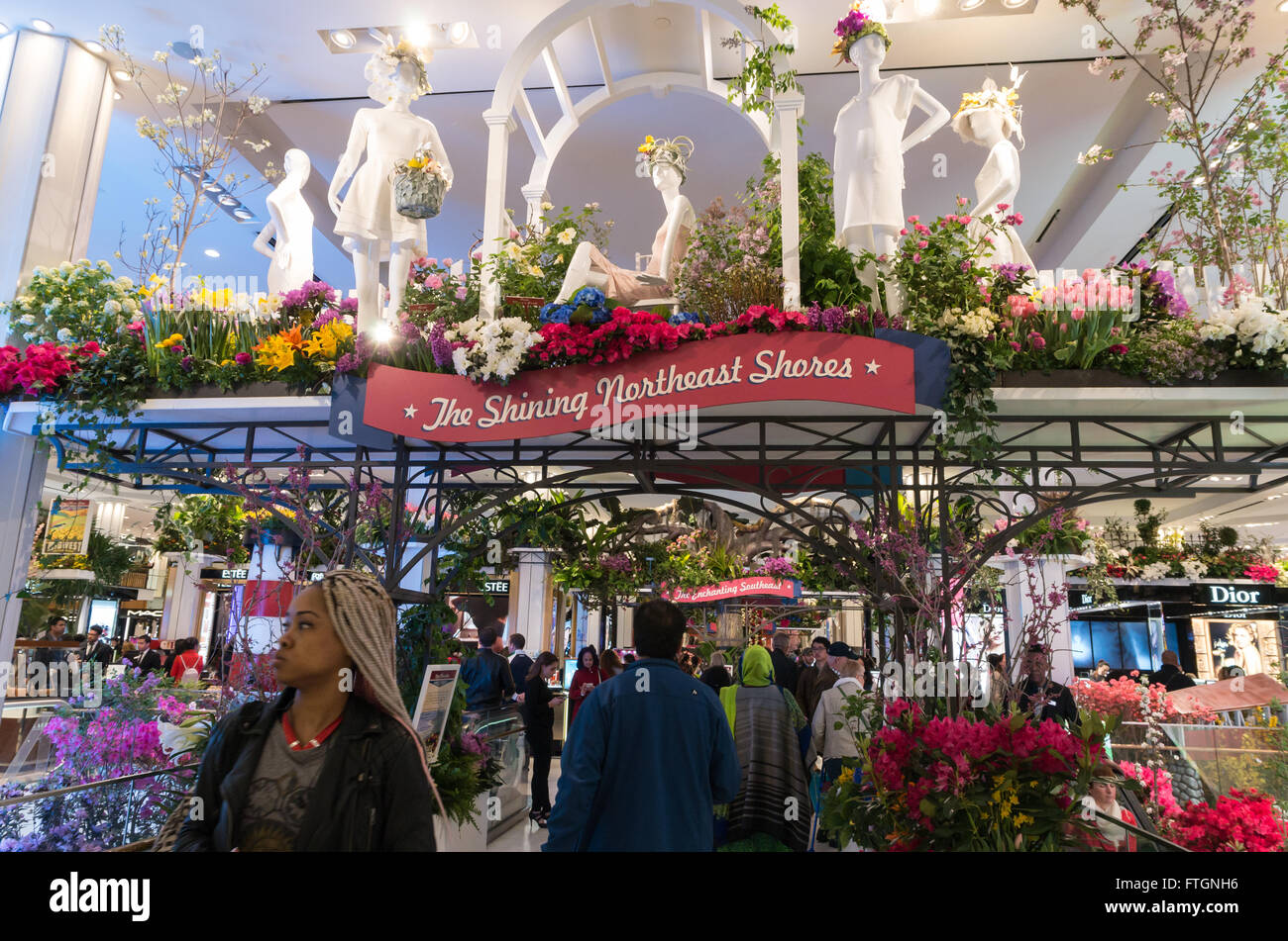 Macys blooms hi-res stock photography and images - Alamy