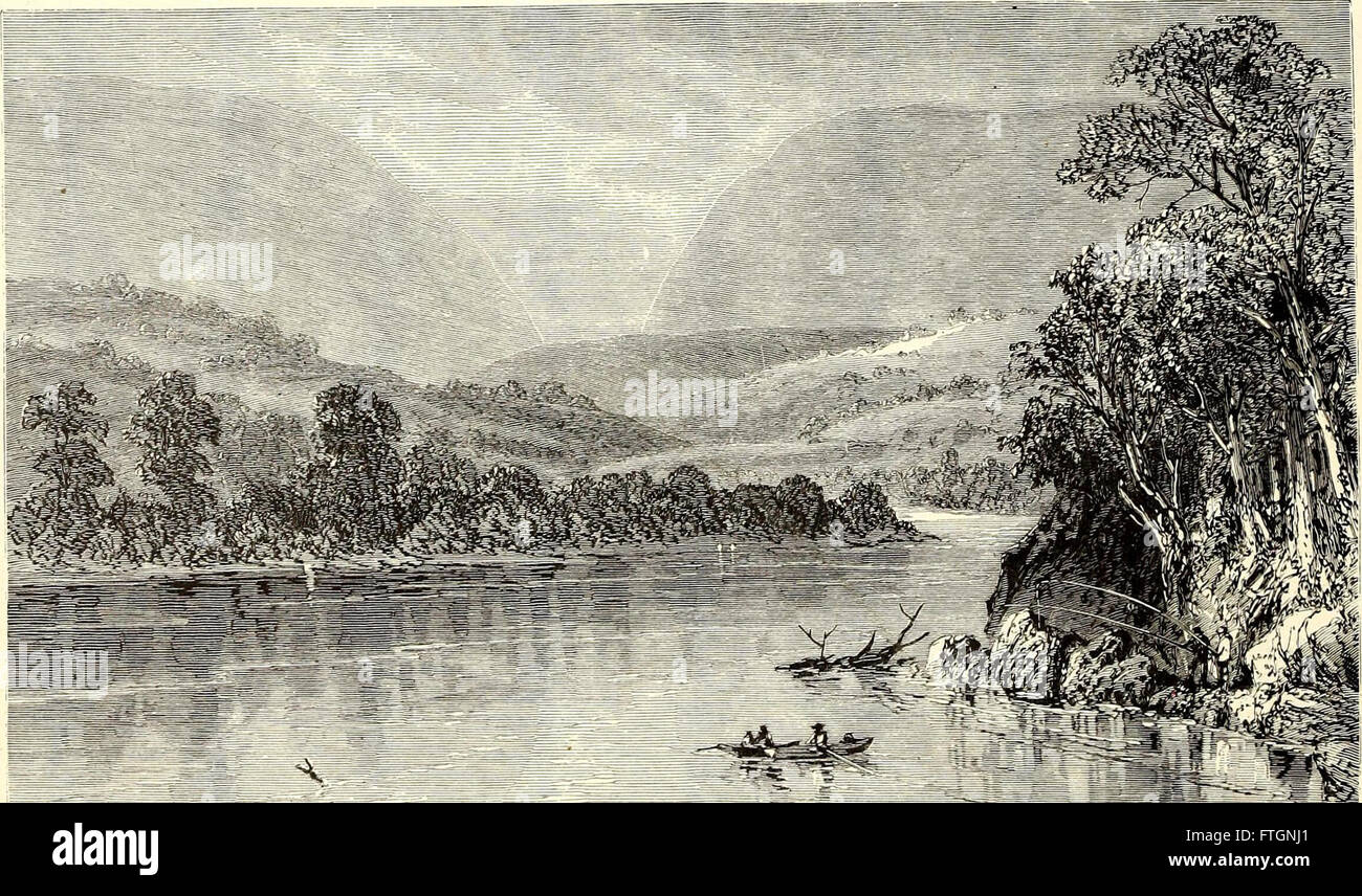 Antique map of forests in america hi-res stock photography and images ...