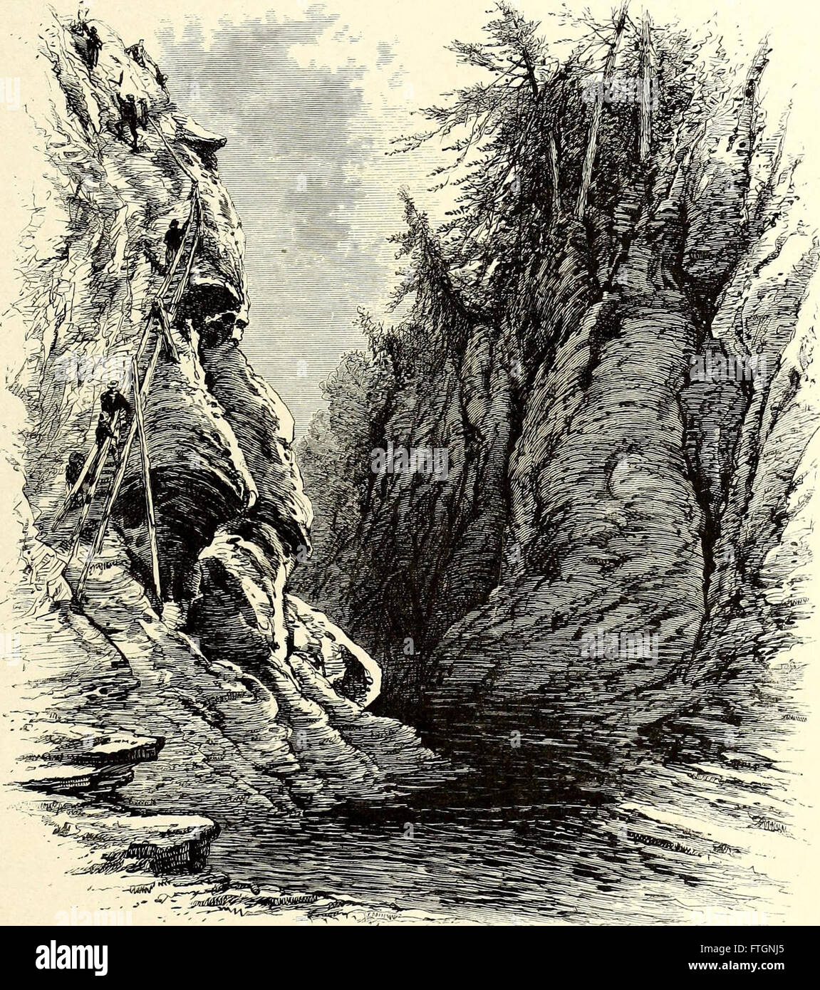 Antique map of forests in america hi-res stock photography and images ...