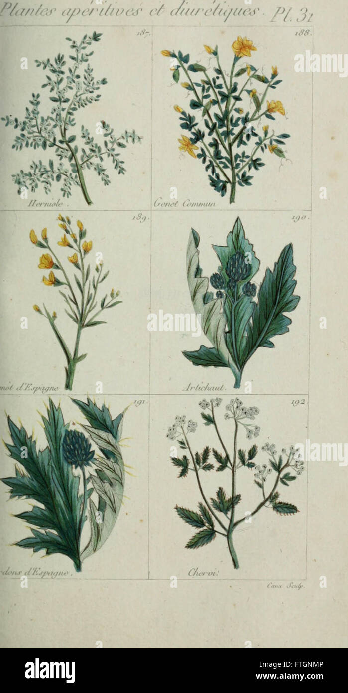'Plantes usuelles, indigènes et exotiques' (Common, Native, and Exotic ...