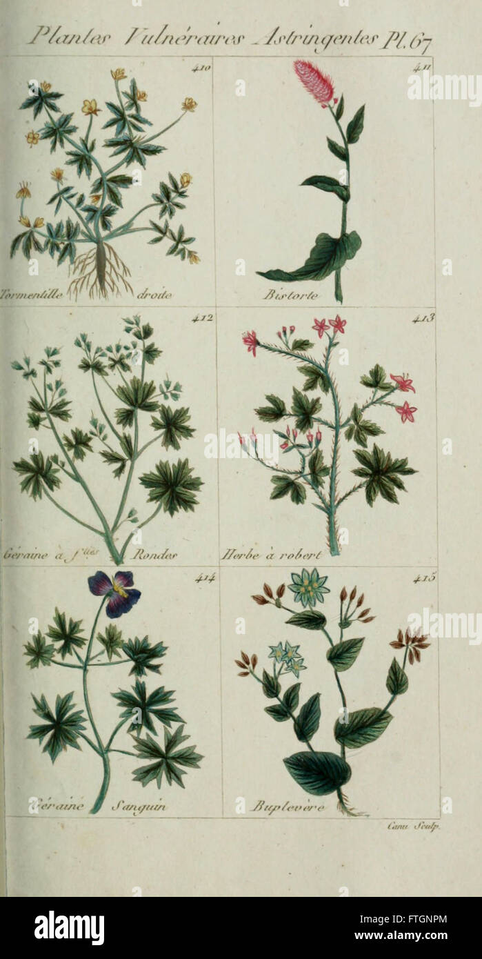 *Plantes usuelles, indigènes et exotiques* (Plate 67) depicts a ...