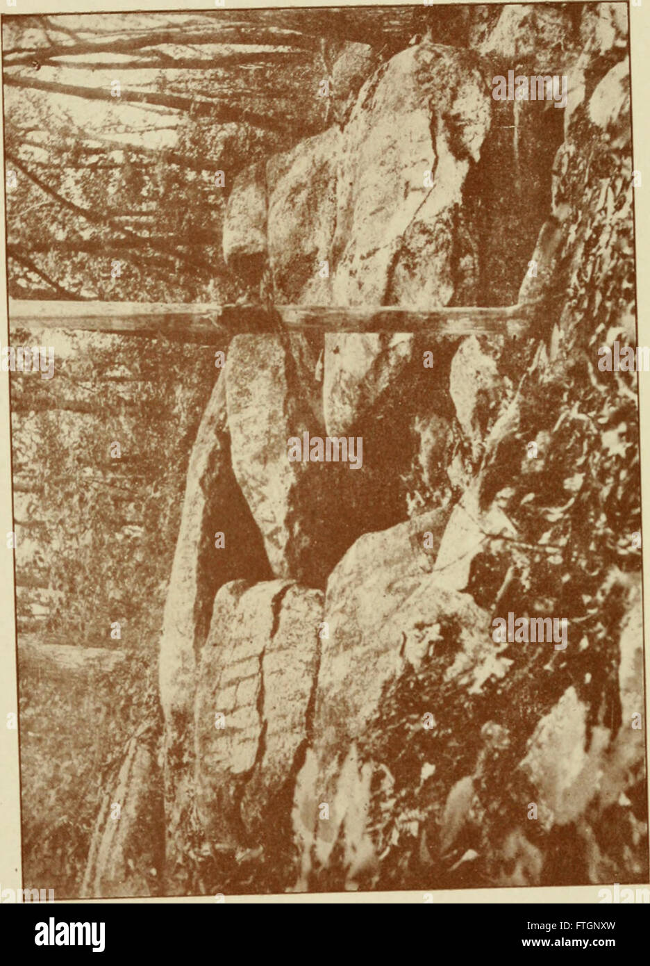 This 1920 poetry collection reflects the themes of rural life and the ...