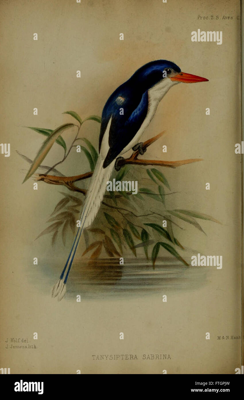 A publication from the Zoological Society of London, detailing ...