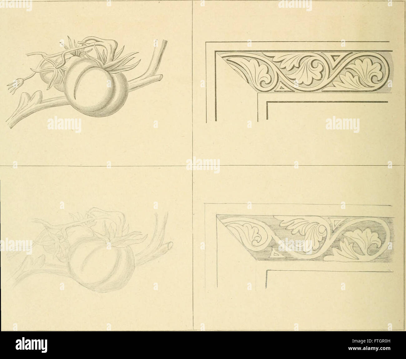 This publication focuses on drawing techniques for junior fourth grade ...