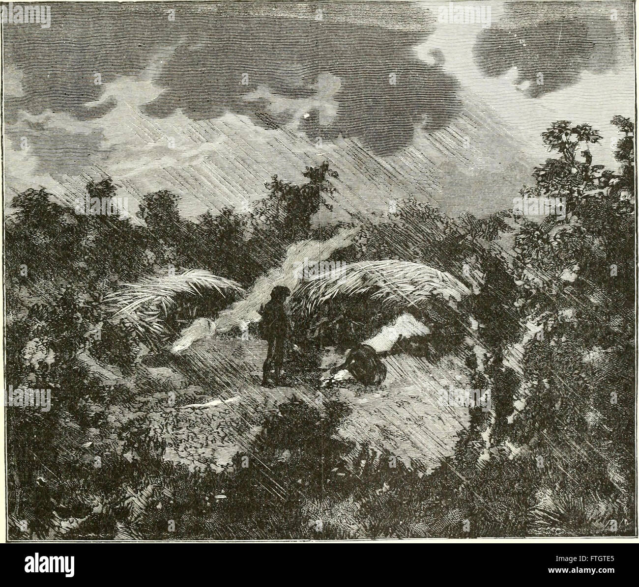 Human evolution timeline hi-res stock photography and images - Alamy