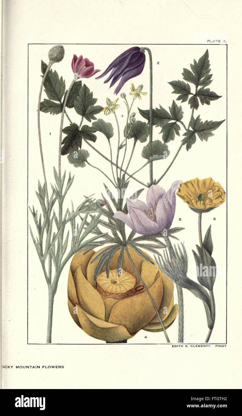 *Rocky Mountain Flowers* (Plate 3) features a botanical illustration of ...
