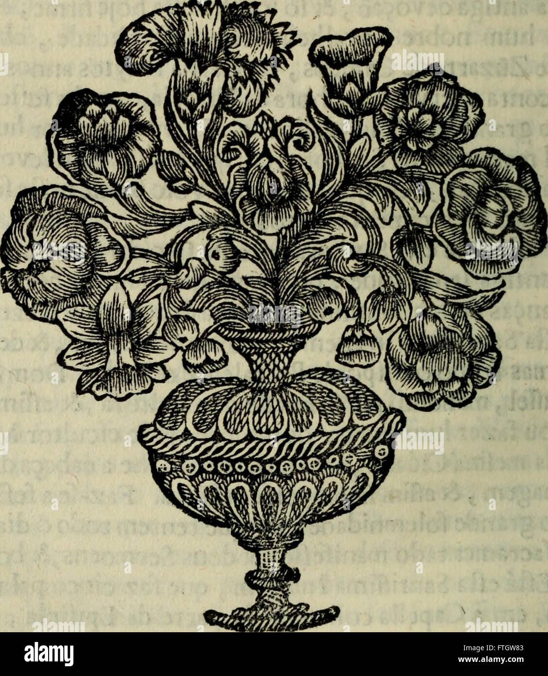 This 1707 work explores the history of miraculous Marian images ...