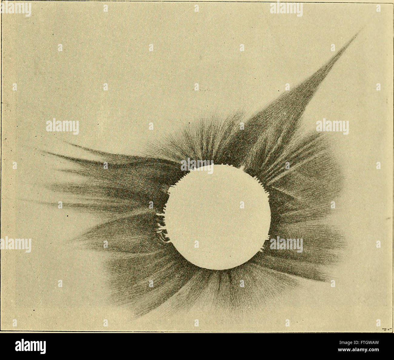 *Science-Gossip* (1896) is a periodical dedicated to the discussion of ...