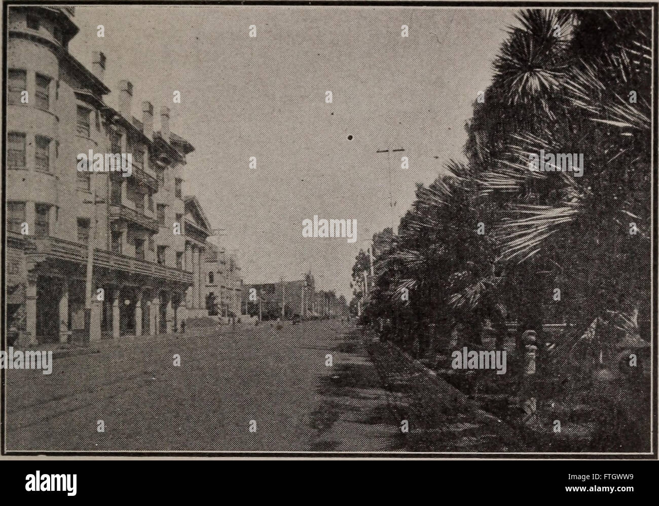 This 1904 guidebook offers a view of San Jose and the Santa Clara ...